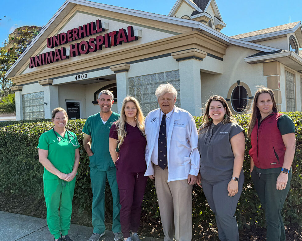 Best Vet Clinic In Orlando, FL | Underhill Animal Hospital